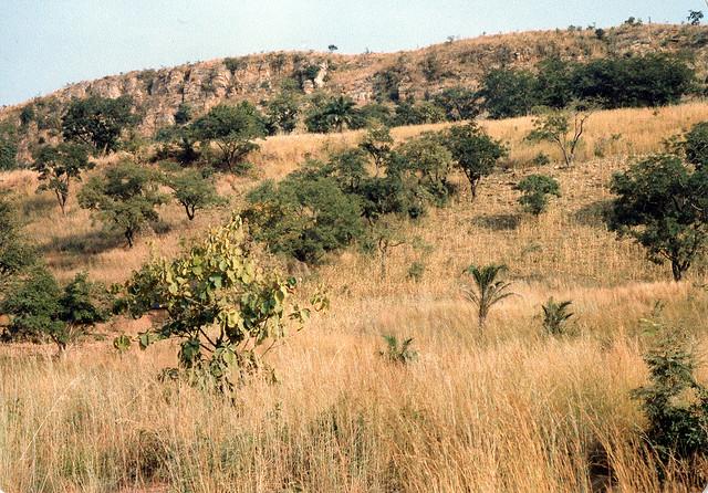 Togo Indie Travel Guide | BootsnAll
